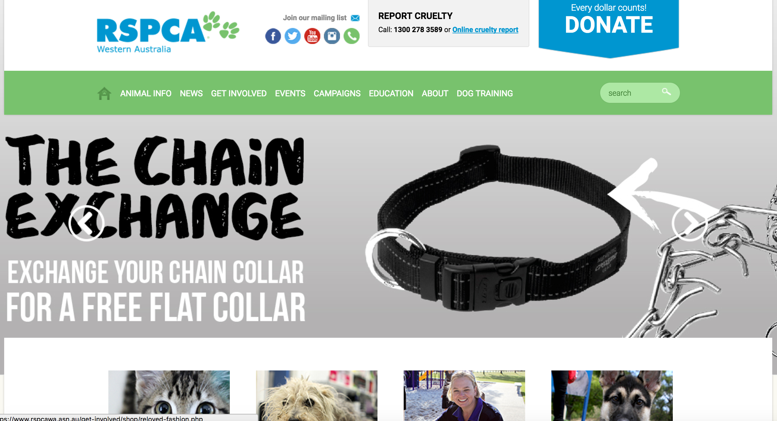 RSPCA WA - 21st Annual Australian Web Awards